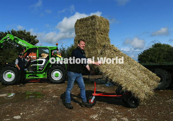 39866523-Peter Caley and his father John grow grass for horse hay on ...