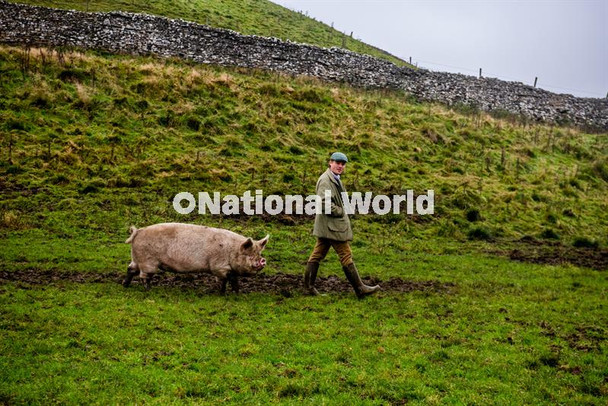 39881504-Country Post - Farmer Ben Leatham, of Telfit Farm, Marske near ...