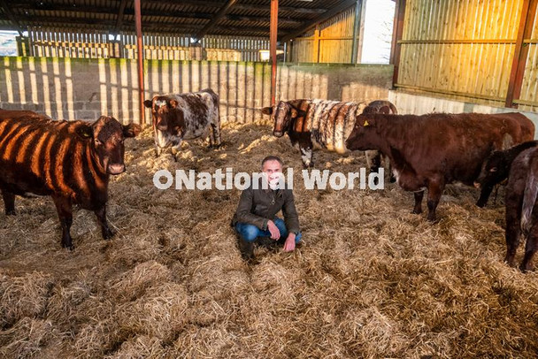 39905585-Farmer Andrew Loftus, has just been appointed to chair of the ...