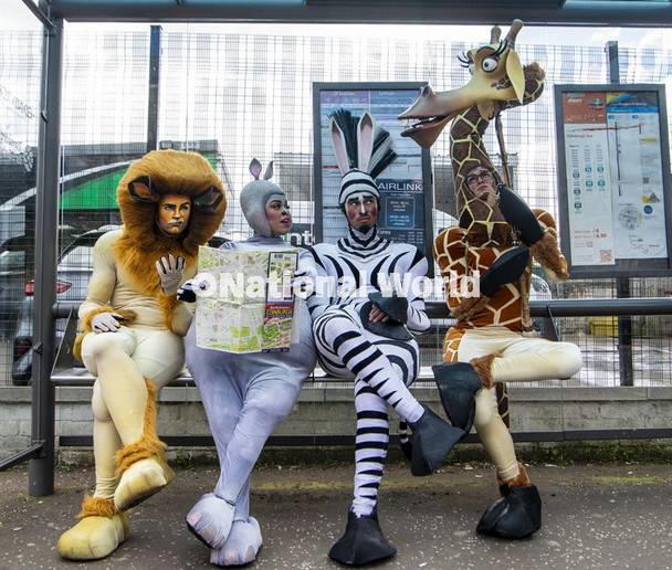 39958476-PIC LISA FERGUSON 25/07/2024 Madagascar at Edinburgh Playhouse ...