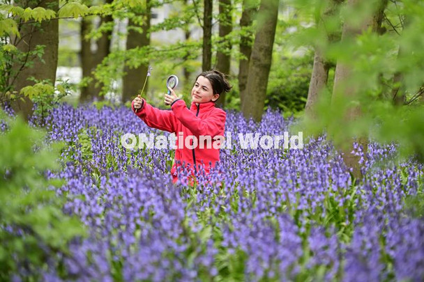 39958864-John Devlin 26/04/2024. GLASGOW. Robyn Devlin 10 studies the ...