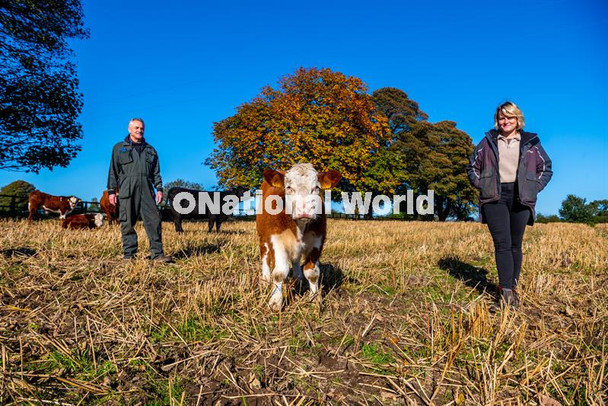 40049087-CountryPost - Farmer Mark Exelby of The Hutts Farm ...