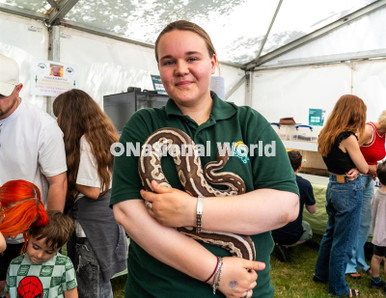 40347062-Charlie is holding a snake and showing it to the people at the ...