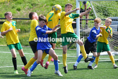 40348674-1-06-2025. Picture Michael Gillen. DENNY. Westfield Park. St ...