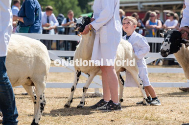 40352341-**EMBARGOED FOR YORKSHIRE POST ONLY** GYS-2025-Day 2 ...
