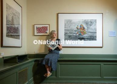 40358659-Curator at the Pannett Gallery in Whitby, Helen Berry looks at ...