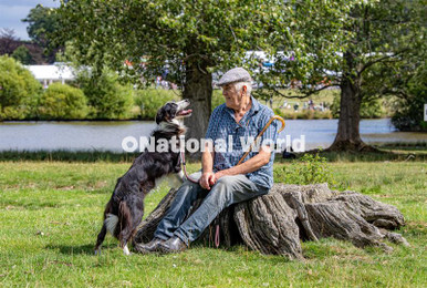 40366253-Retired shepherd Ian Murdoch with Spot from Easingwold at ...