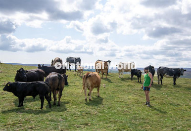 40368699-Deb Metcalfe with her son Ewan at Leighton Hall Farm at Healey ...