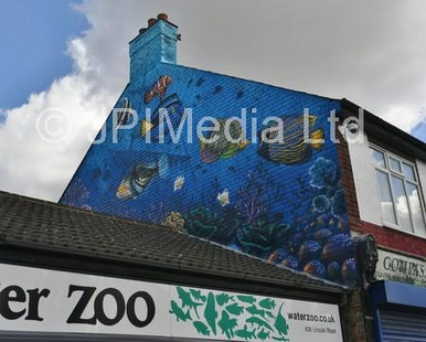 39400405-Nathan Murdoch street art in Lincoln Road, Peterborough ...