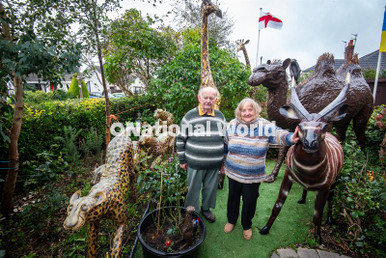40393059-Roger and Susan Rimmer from Knott End in their garden full of ...