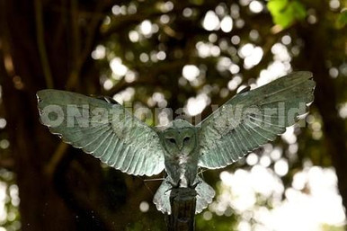 39481808-Contemporary Sculpture Trail at Newby Hall, Ripon. . Landing ...