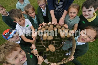39467563-Kids Country Grow Your Own Potatoes event at the East of ...