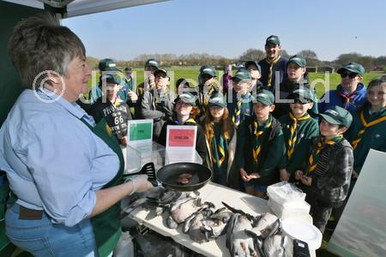 39394572-Kids Country Cubs and Scouts event at the East of England ...