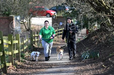 39373331-Feature on Mayflower Animal Sanctuary, Bawtry, Doncaster ...