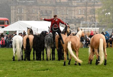 39428166-The Duncombe Park Country Fair, Helmsley. Ben Atkinson with ...
