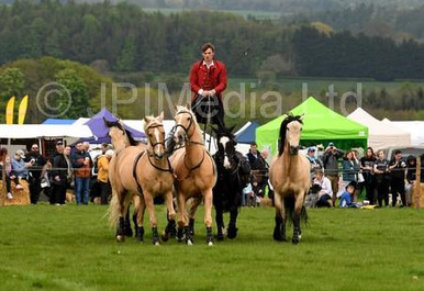 39428168-The Duncombe Park Country Fair, Helmsley. Ben Atkinson with ...