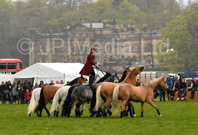 39428169-The Duncombe Park Country Fair, Helmsley. Ben Atkinson with ...