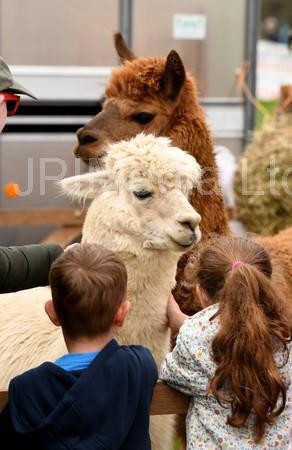 39428180-The Duncombe Park Country Fair, Helmsley. . 2nd May 2022 ...