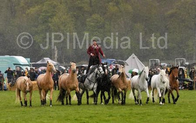 39428187-The Duncombe Park Country Fair, Helmsley. Ben Atkinson with ...