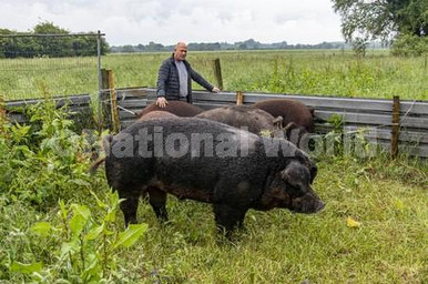 39458620-31 May 2022. . . . . Farrier Jason Knaggs. Jason keeps pigs at ...