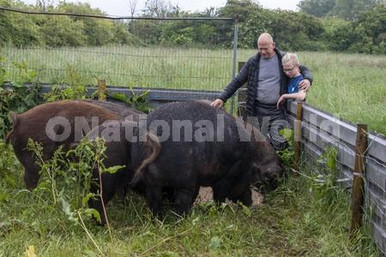 39458625-31 May 2022. . . . . Farrier Jason Knaggs. Jason, with his son ...