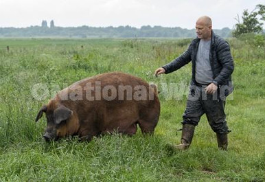 39458627-31 May 2022. . . . . Farrier Jason Knaggs. Jason, keeps pigs ...