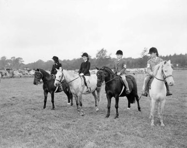20004978-Dalkeith Agricultral Show Competition in Pony Class - National ...
