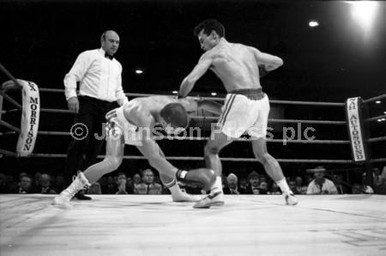 22657132-Glasgow southpaw boxer Steve Boyle lands the knockout punch ...