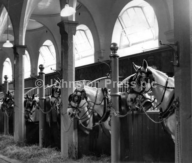 23458611-Inside the Royal Mews stables at Buckingham Palace in 1965 ...