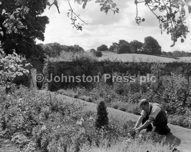 20875383-Baberton House grounds - Juniper Green Edinburgh - National ...