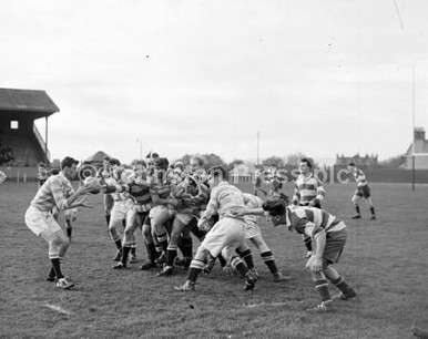 20875688-Musselburgh Rugby Team - National World | Newsprints