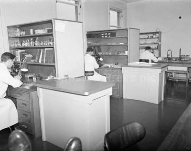 19986663-Moredun Institute and Parasitology Department - Unit of ...