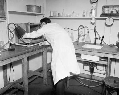 19986664-Moredun Institute and Parasitology Department -Unit of ...