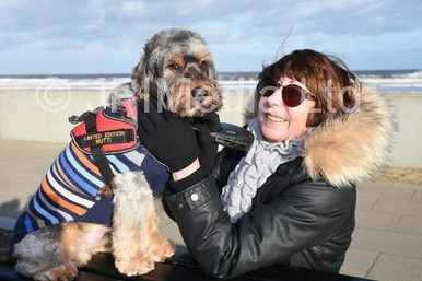 39339305-Jean Waite and her dog Barney. - Iconic Media Group | Newsprints
