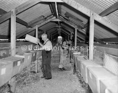 20919049-Mink Farm at Newhailes Musselburgh - JNJ Mitchell Ltd - Mr ...