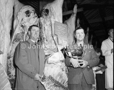 20922580-Carcass Show and Sale at Edinburgh Meat Market - at corner of ...