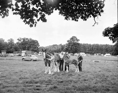 19997088-Dalkeith Agricultural Show - Last minute touches are given to ...