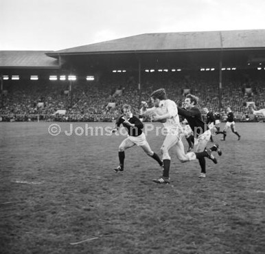 20240461-Scotland s Drew Gill prepares to tackle Peter Rossborough ...