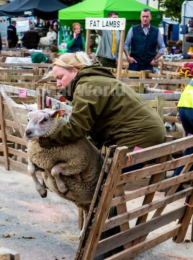 39573860-Date: 25th September 2022. Picture James Hardisty. Masham Sheep Fair. Pictured Claire ...