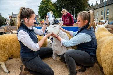39573878-Date: 25th September 2022. Picture James Hardisty. Masham Sheep Fair. Pictured Mary and ...
