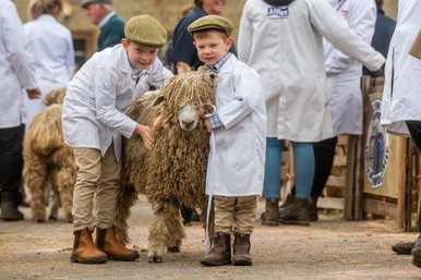 39573883-Date: 25th September 2022. Picture James Hardisty. Masham ...