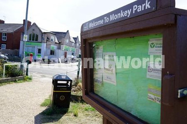 39535043-Monkey park Brampton. - National World | Newsprints