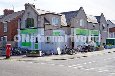 39535076-Monkey park Brampton. - National World | Newsprints