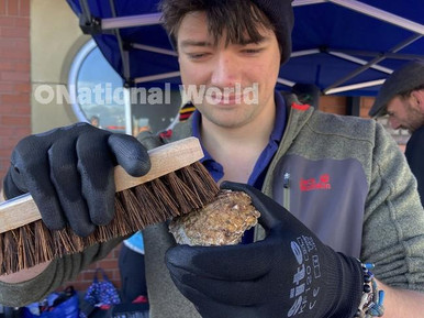 39574409-Tim Herring scrubbing an Oyster before it is introduced into ...