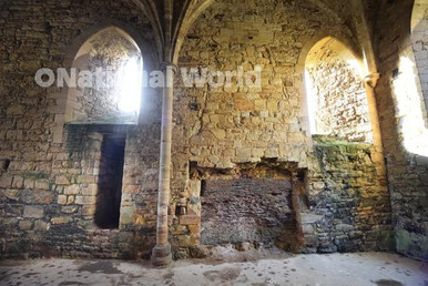 39580651-File: Battle Abbey and its grounds. Photo Justin Lycett ...