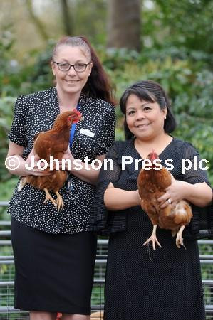 37626580-Residents at Alexandra Court meet animals from Bowland Farm ...