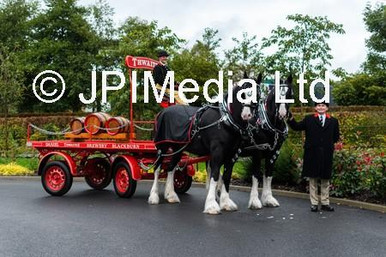 39182994-Shire Horses from Thwaites outside the hotel - National World ...