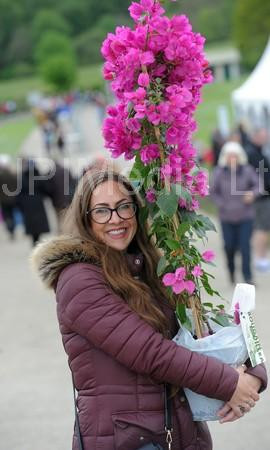 38988750-22nd May 2021 Flower Show 2021 Spring Essentials, Harrogate ...