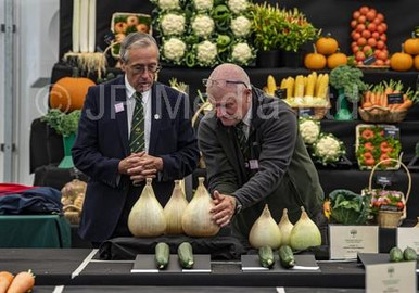 39146115-17 September 2021. . . . . . . Judges David Allison and Mick ...