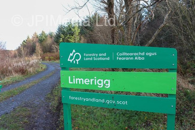 39619369-gv of Limerigg Forestry path signage - National World | Newsprints